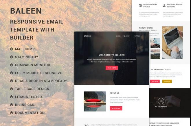 15+ Responsive Email Template HTML- Premium Templates - Graphic Cloud