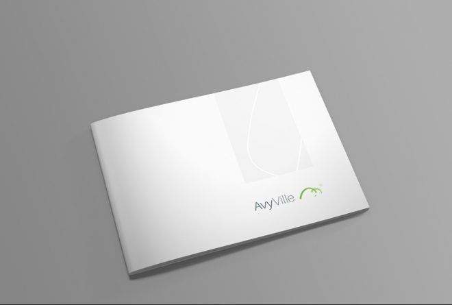 12+ Free A4 Brochure Mockup PSD Download - Graphic Cloud