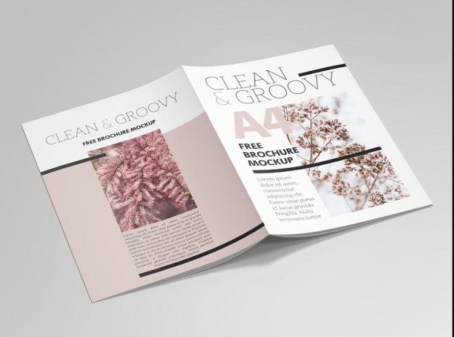 15+ Free Catalog Mockup PSD Presentation - Graphic Cloud