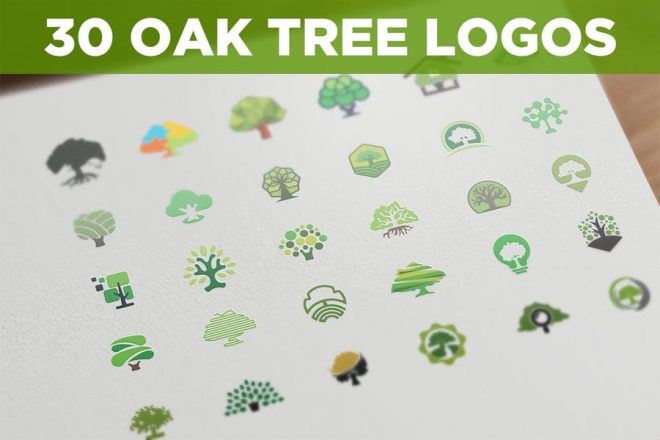 19+ Tree Logo Designs, Ideas, and Examples - Graphic Cloud