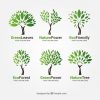 19+ Tree Logo Designs, Ideas, and Examples - Graphic Cloud