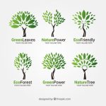 19+ Tree Logo Designs, Ideas, and Examples - Graphic Cloud