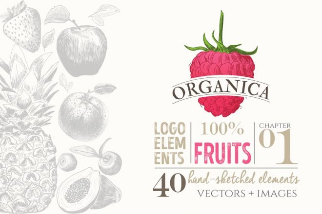 20+ Fruit Logo Designs, Inspiration and Examples - Graphic Cloud