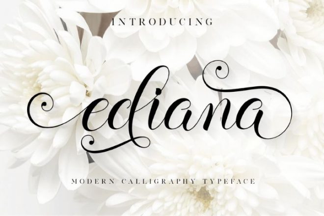 30+ Best Girly Fonts for Feminine Designs - Graphic Cloud