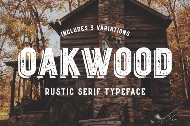 20+ Best Rustic Fonts for Logo Designing - Graphic Cloud