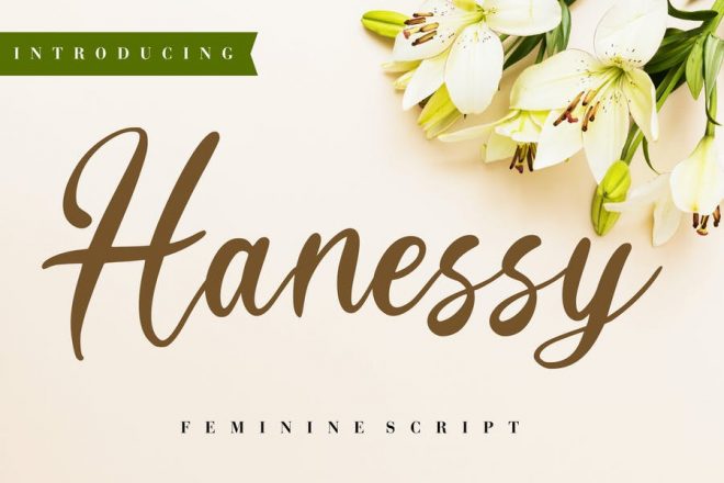 25+ Best Feminine Fonts TTF and OTF Download - Graphic Cloud