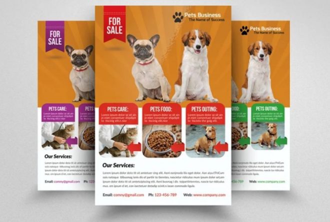 21+ Best Pet Care Flyer Template Downloads - Graphic Cloud