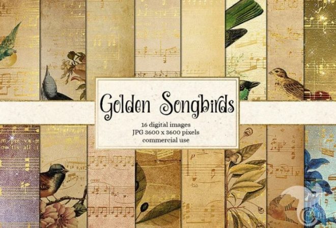 21+ Best Music Paper Texture PNG and JPG Download - Graphic Cloud