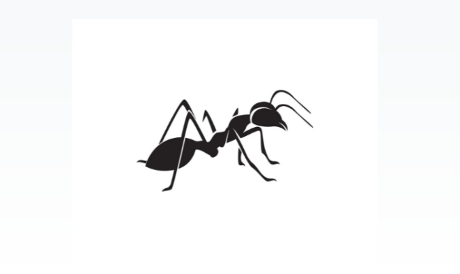11+ Professional Ant Logo Design Template Download - Graphic Cloud