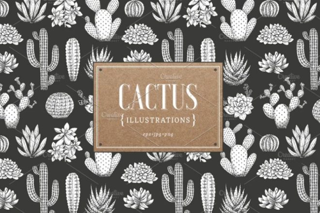 15+ FREE Cactus Patterns Design Vector Download - Graphic Cloud