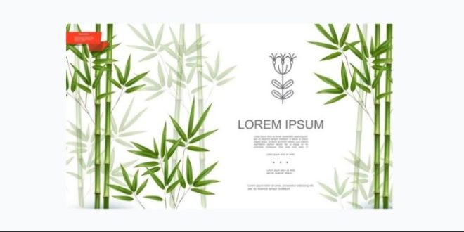 15+ FREE Bamboo Patterns Design Vector Download - Graphic Cloud
