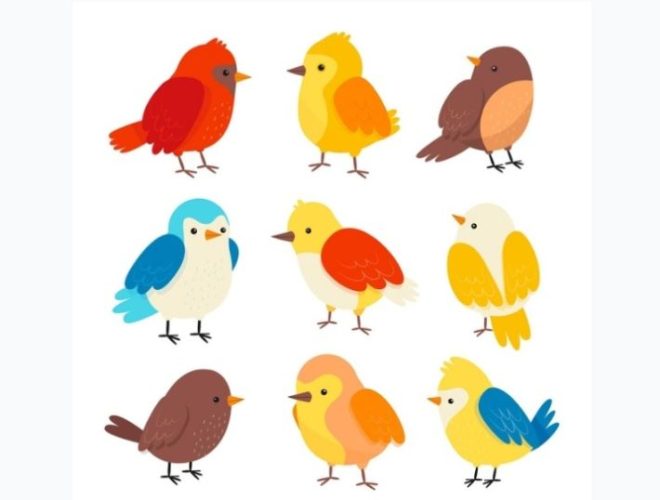 15+ FREE Birds Vector Illustration Designs Download - Graphic Cloud