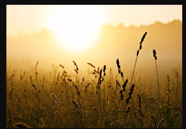 15+ Sunlight Photoshop Action Effects ATN Free Download - Graphic Cloud