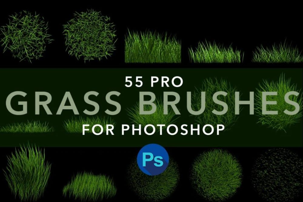 15+ Grass Brushes ABR Procreate FREE Download - Graphic Cloud