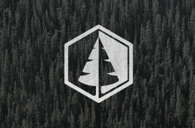 15+ Pine Tree Logo Design Template Ai EPS Download - Graphic Cloud