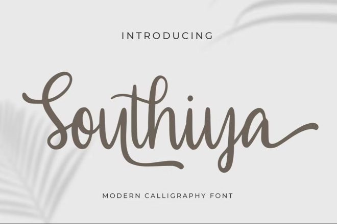 15+ Modern Calligraphy Fonts TTF OTF Download - Graphic Cloud