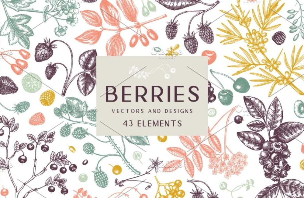 15+ Berries Illustrations AI EPS FREE Download - Graphic Cloud