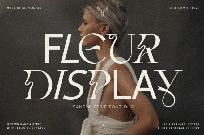 15+ Classy Fonts TTF OTF & Carl Brown Font FREE Download