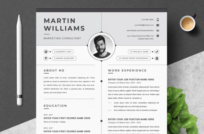 15+ Free Infographic Resume Template Ai FREE - Graphic Cloud