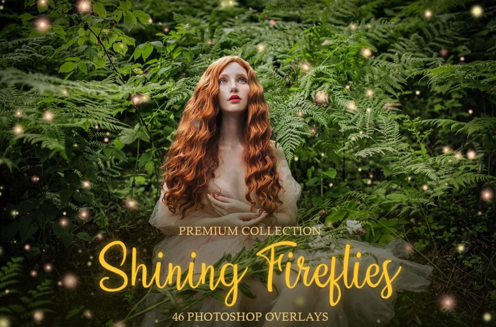 15+ Fireflies Overlay PNG JPEG Free Download - Graphic Cloud