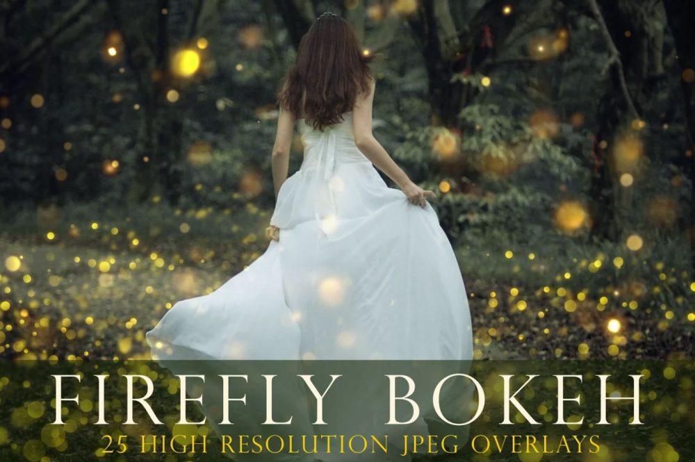 15+ Fireflies Overlay PNG JPEG Free Download - Graphic Cloud