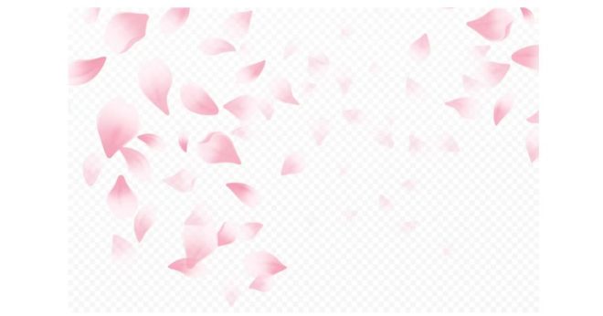 15+ Free Rose Petal Overlays PNG JPG Download - Graphic Cloud