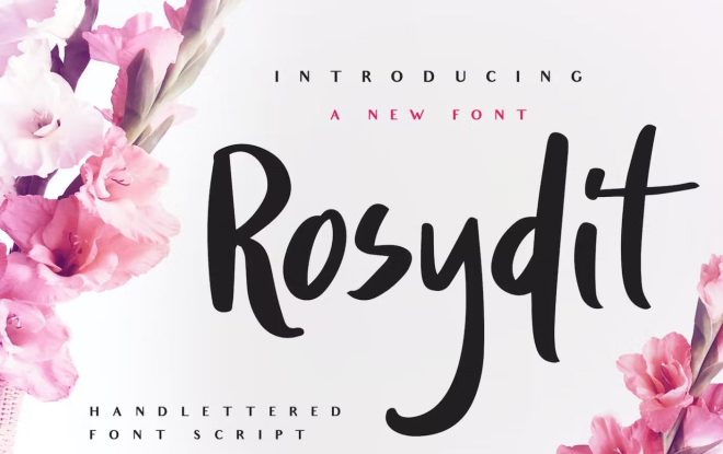 15+ Free Hand Lettering Script TTF OTF Download - Graphic Cloud