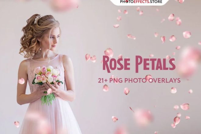 15+ Free Rose Petal Overlays PNG JPG Download - Graphic Cloud
