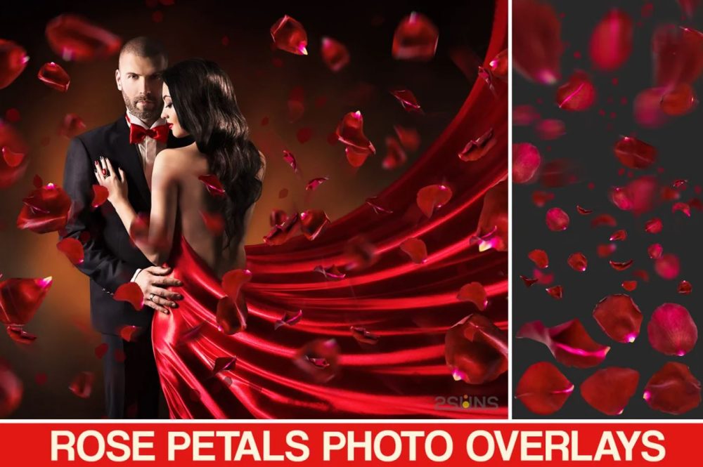 15+ Free Rose Petal Overlays PNG JPG Download - Graphic Cloud